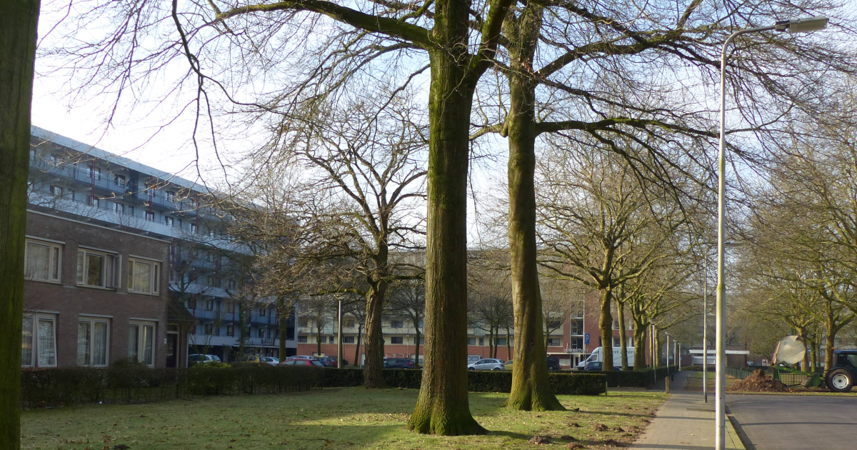 Een enorme rijkdom - Proeftuin Ruwaard - Proeftuin Ruwaard